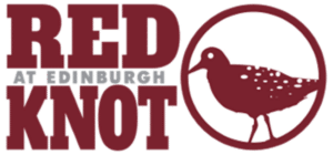 Red Knot at Edinburgh - The Breeden Company